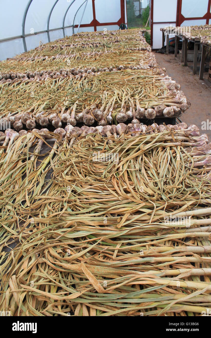 Drying Tables Stock Photos & Drying Tables Stock Images - Alamy