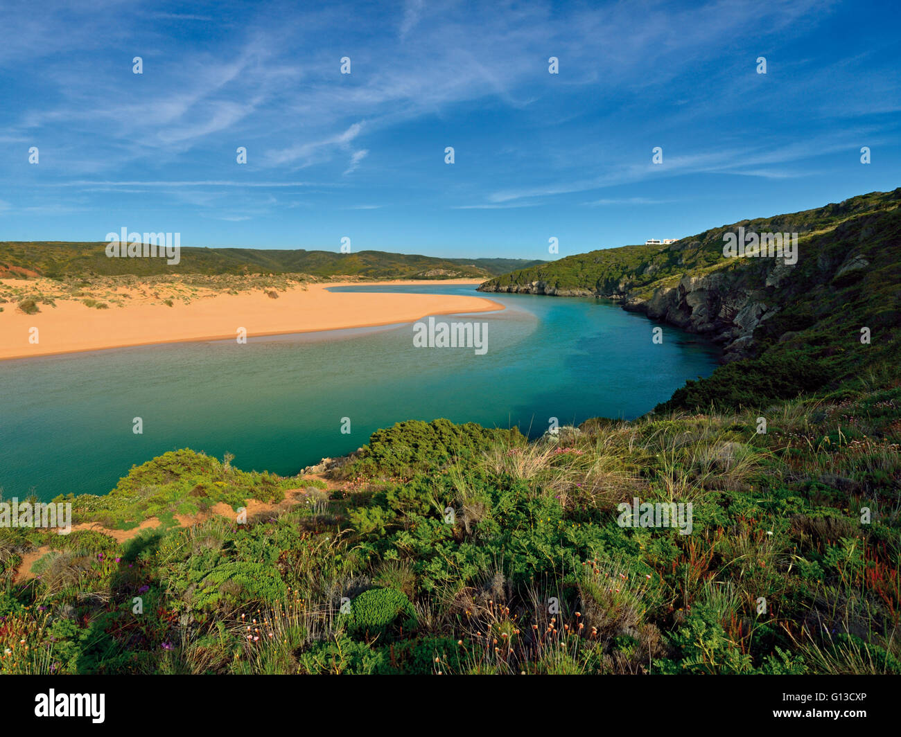 Sensible Ecosystem Ecosystem High Resolution Stock Photography and ...