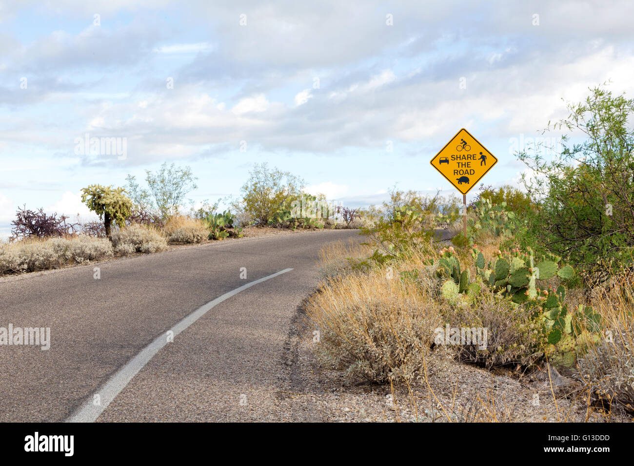 Saguaro National Park East's multiuse Share the Road sign. Cactus ...