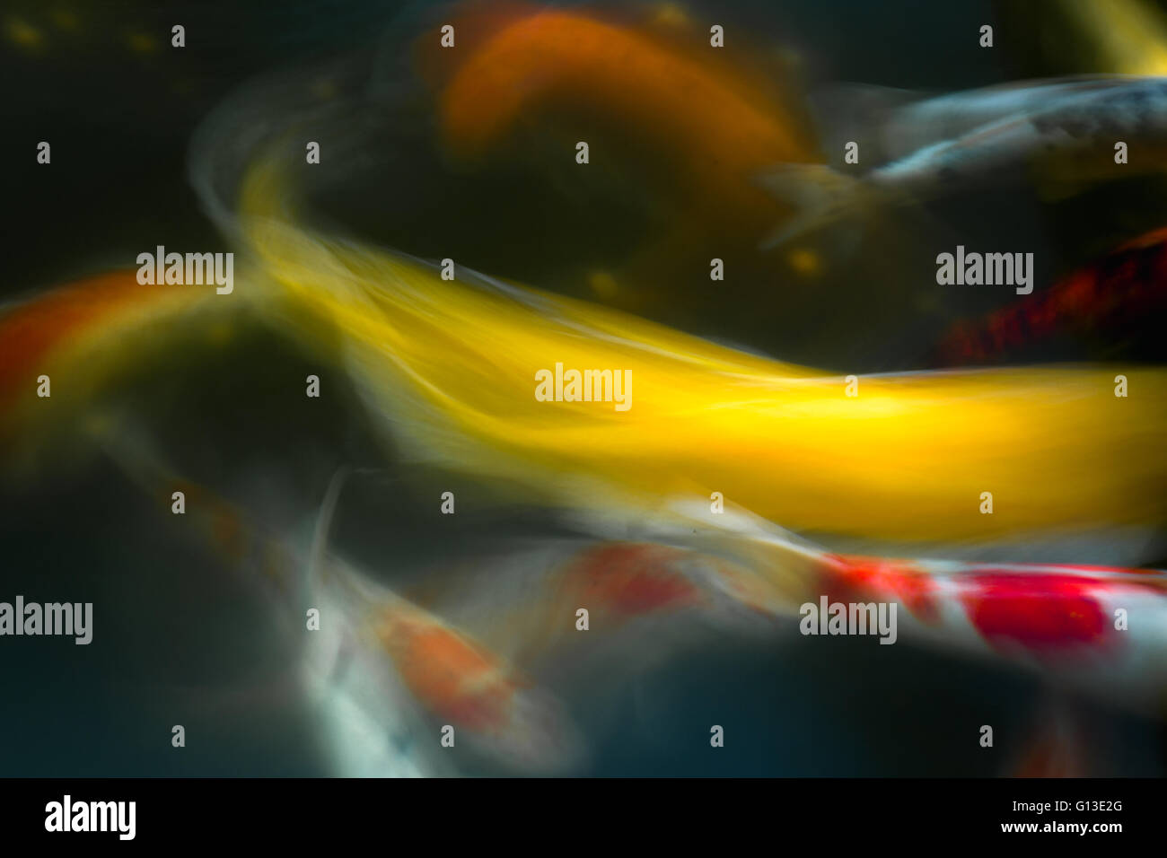 Fish motion photography Stock Photo - Alamy