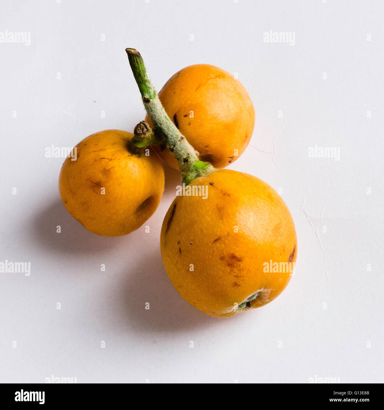 Loquats on white background Stock Photo - Alamy
