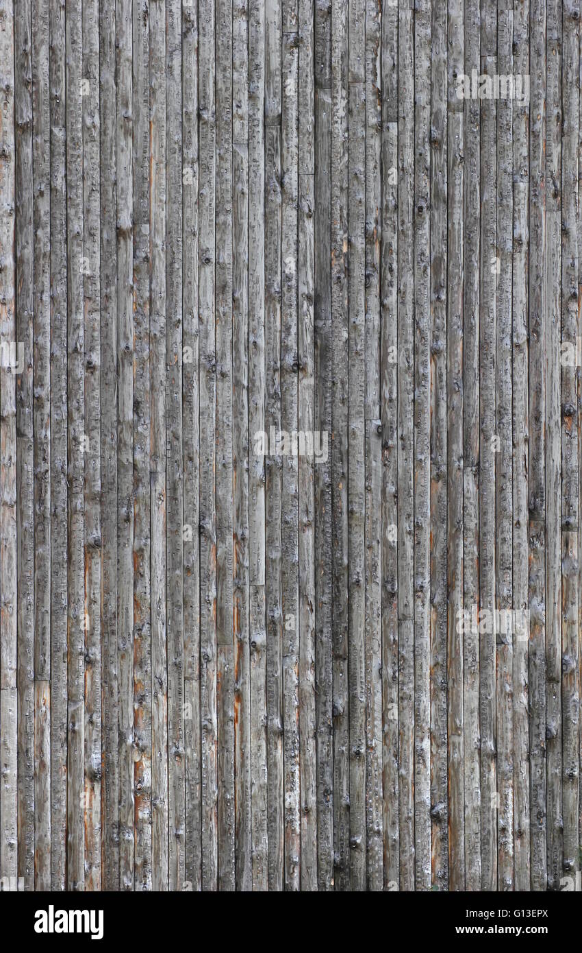 A bright wooden lath texture Stock Photo - Alamy