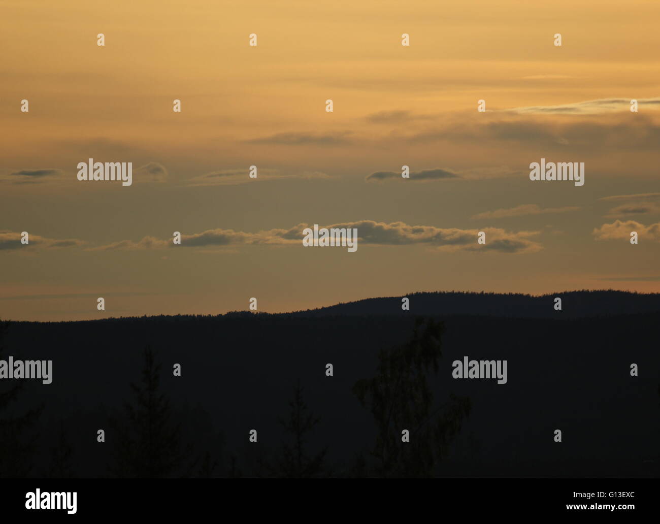 Shades of orange in nature hi-res stock photography and images - Alamy