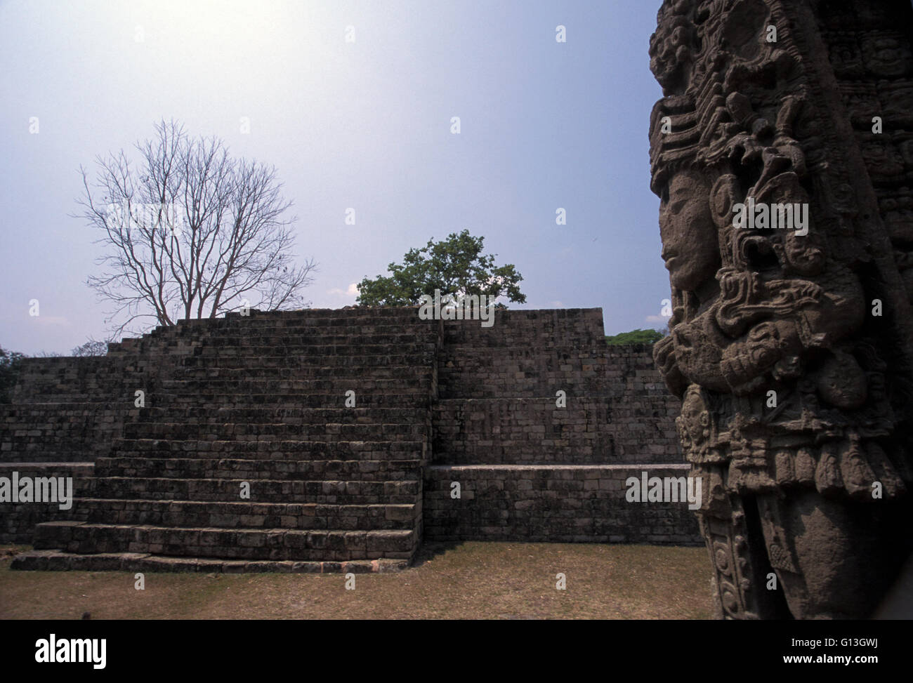 Stela and piramid in Copan Ruins, an archaeological site of the Maya civilization in Copan ...