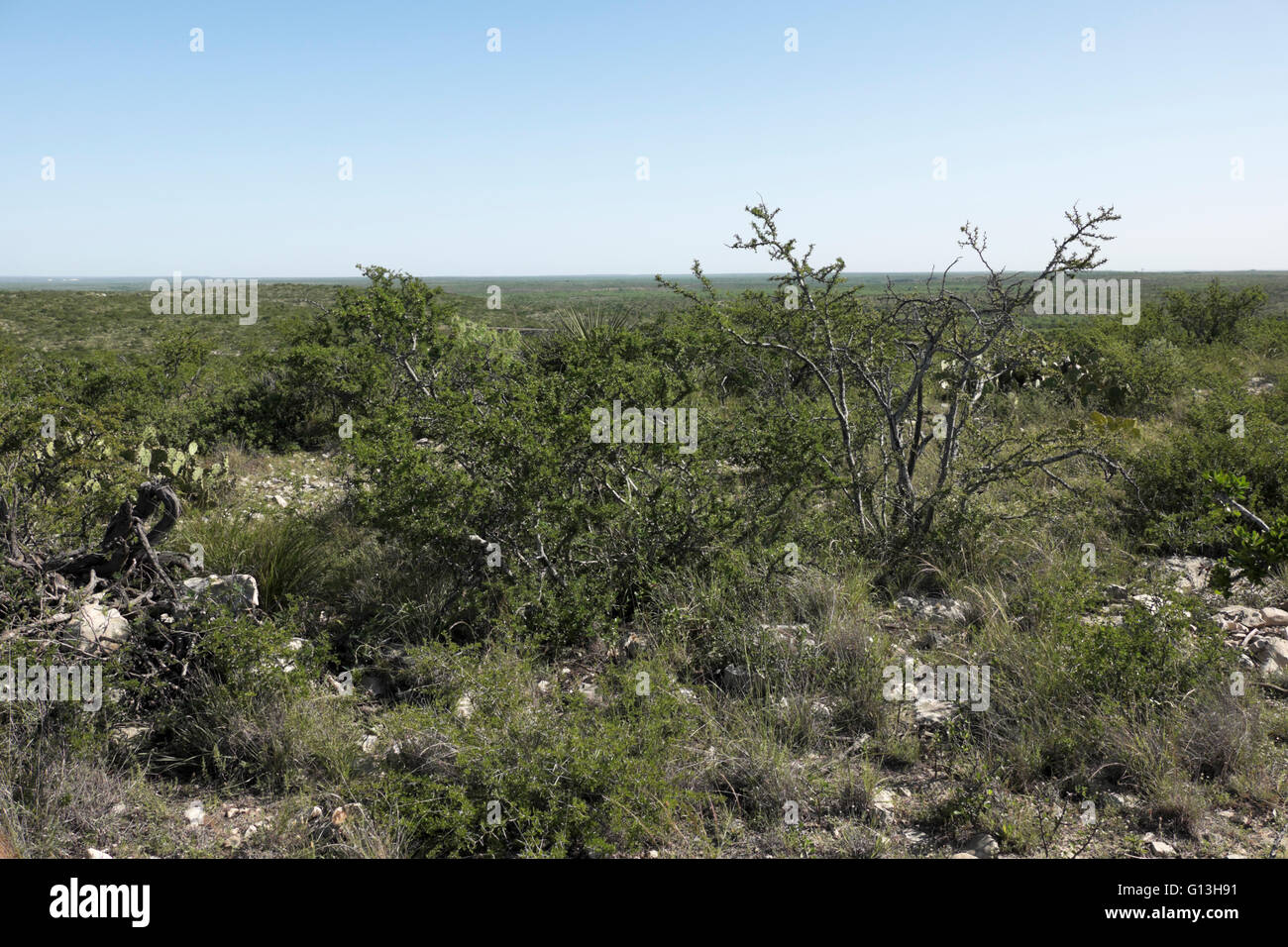Edwards plateau limestone hi-res stock photography and images - Alamy
