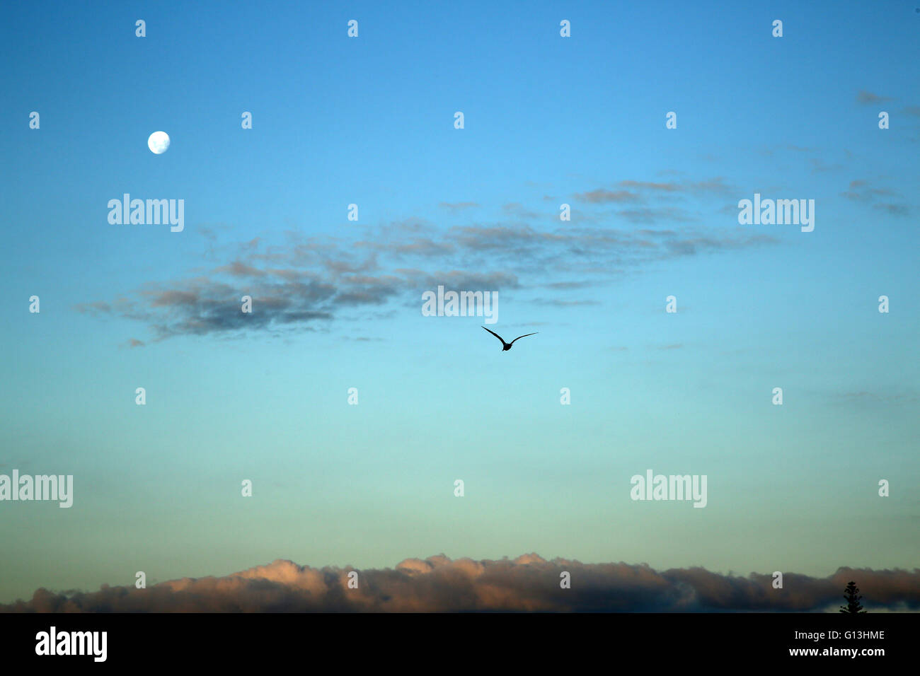 Sunset on Manly Beach Stock Photo - Alamy