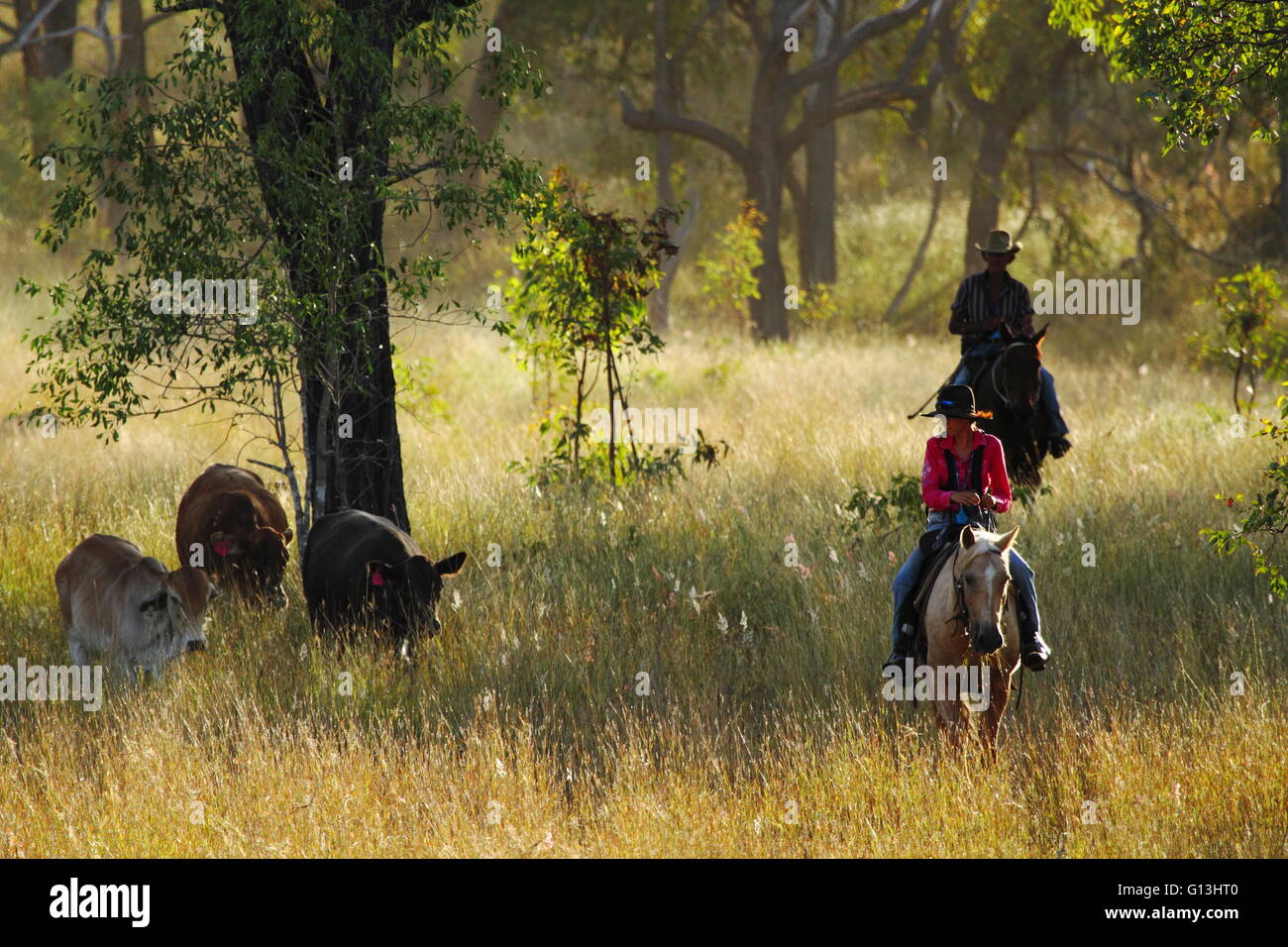 Cowboys on horses hi-res stock photography and images - Alamy