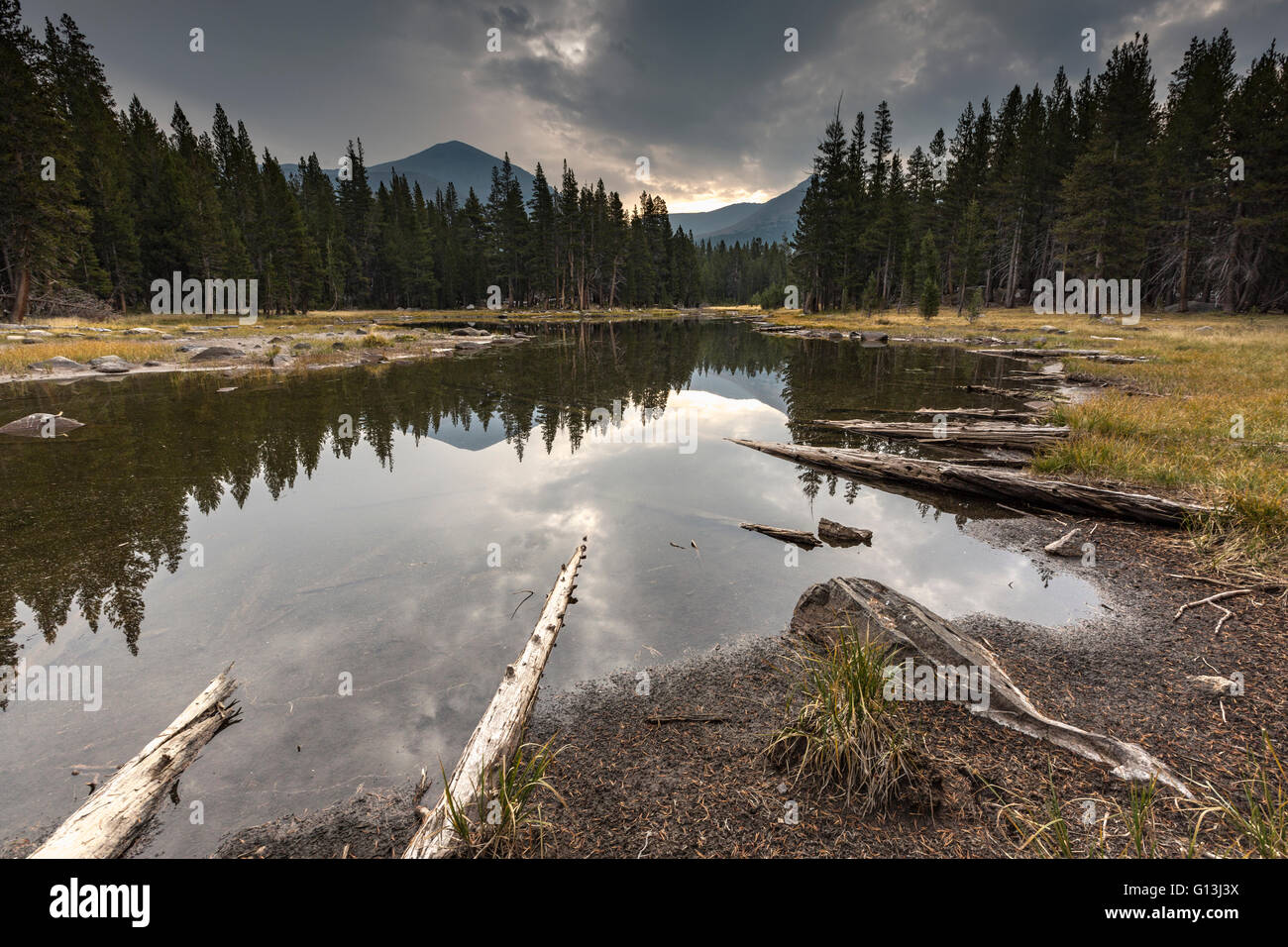 Pines and mountains reflected in a pond Stock Photo - Alamy
