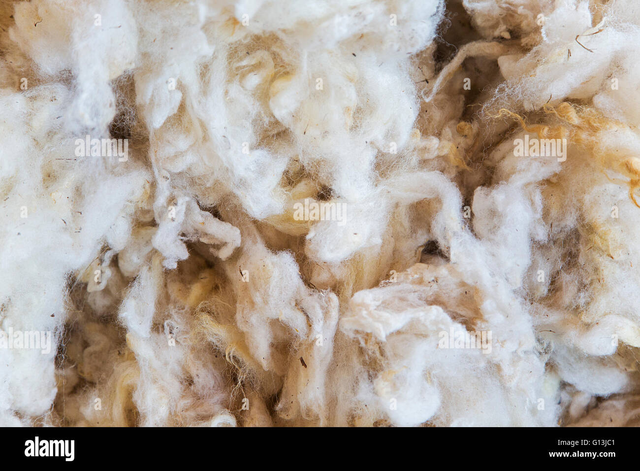 Raw view hi-res stock photography and images - Alamy