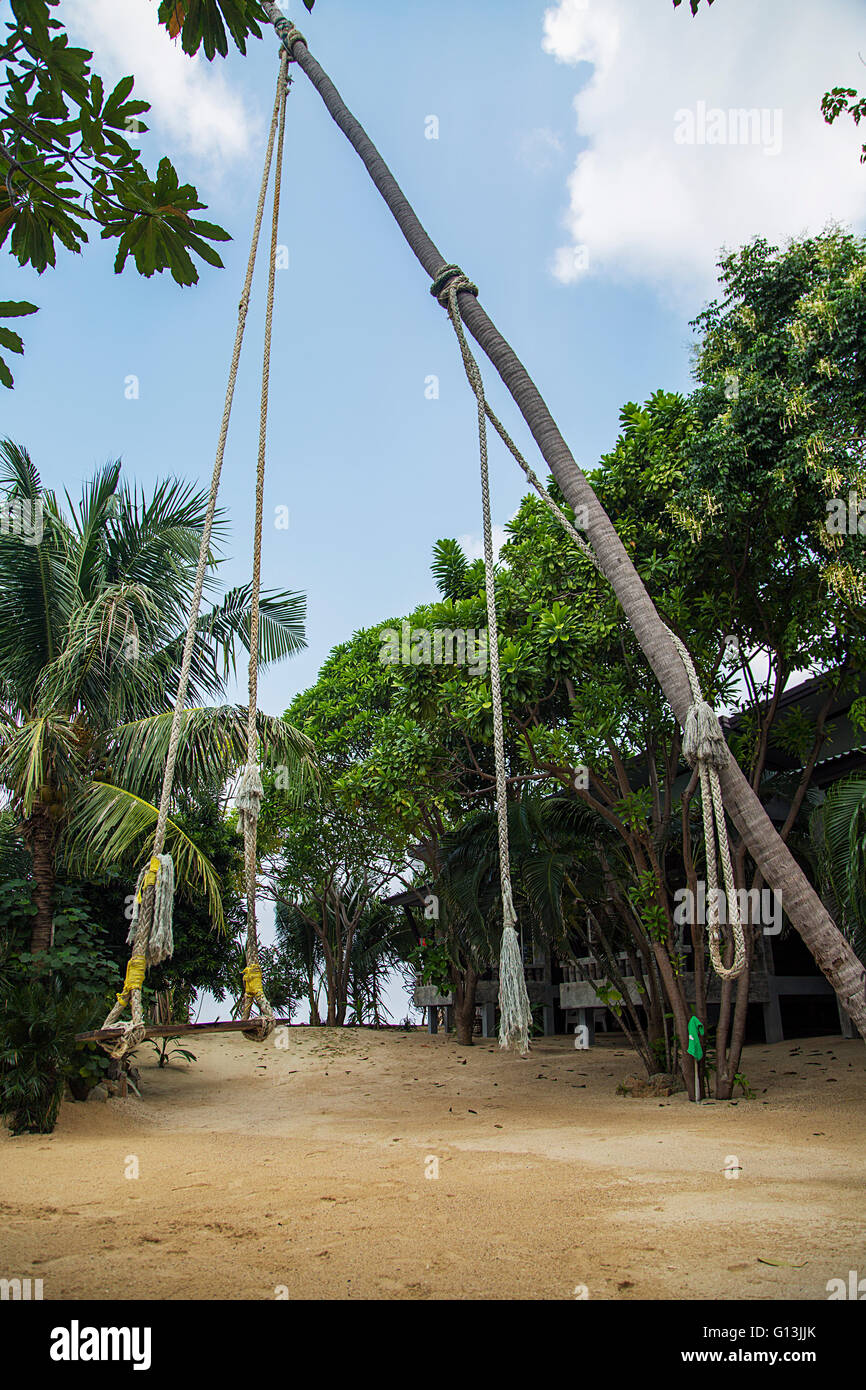 Palm tree swing hi-res stock photography and images - Alamy
