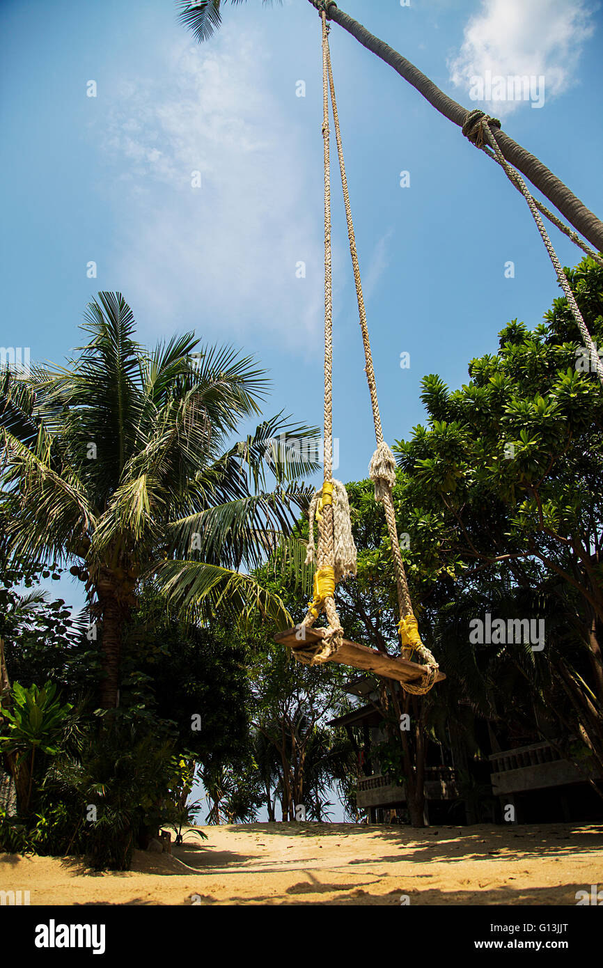 Swing from tree to tree hi-res stock photography and images - Alamy