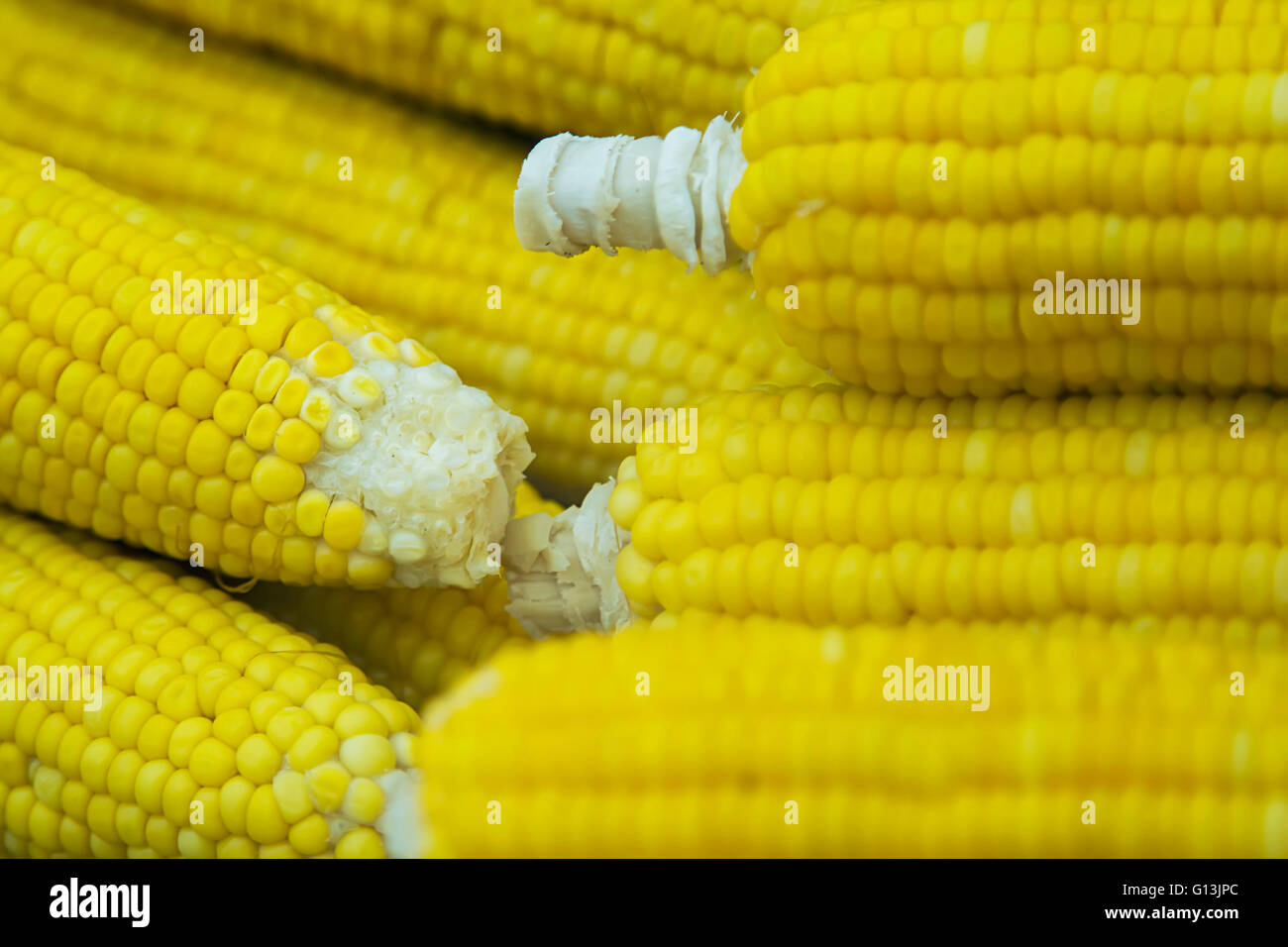 Close view of the pile of corns Stock Photo - Alamy