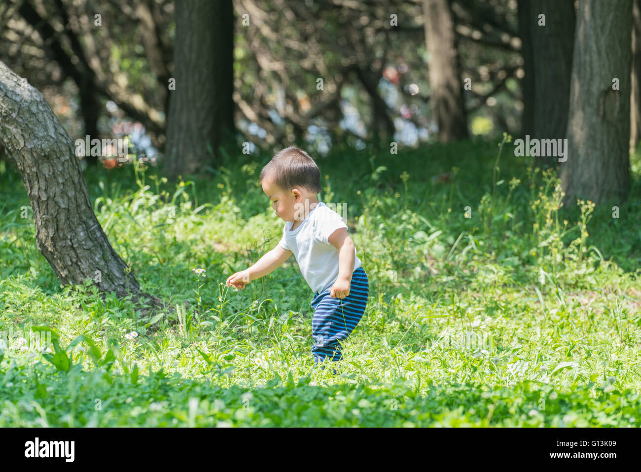 little boy playing Stock Photo - Alamy