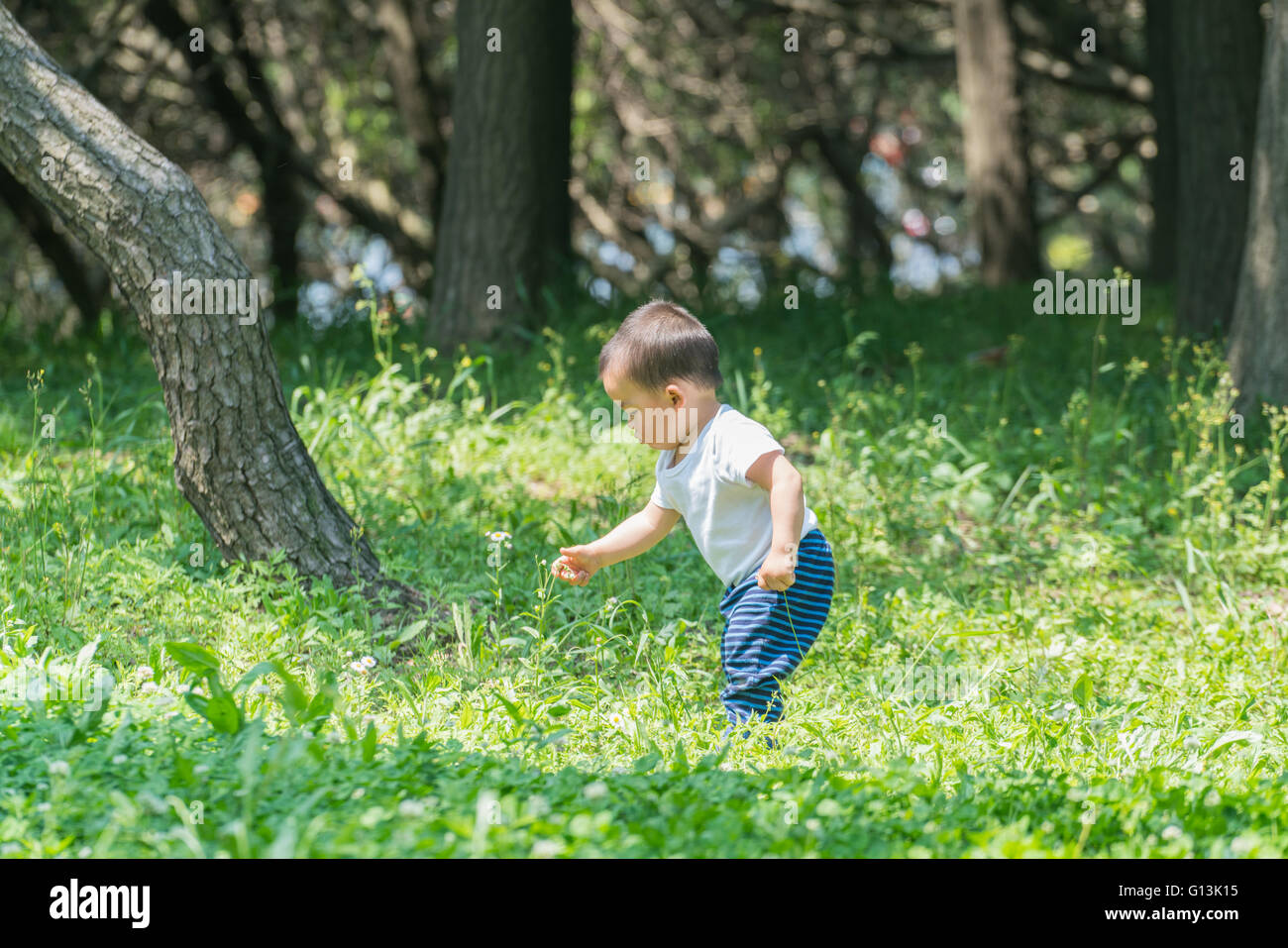 little boy playing Stock Photo - Alamy