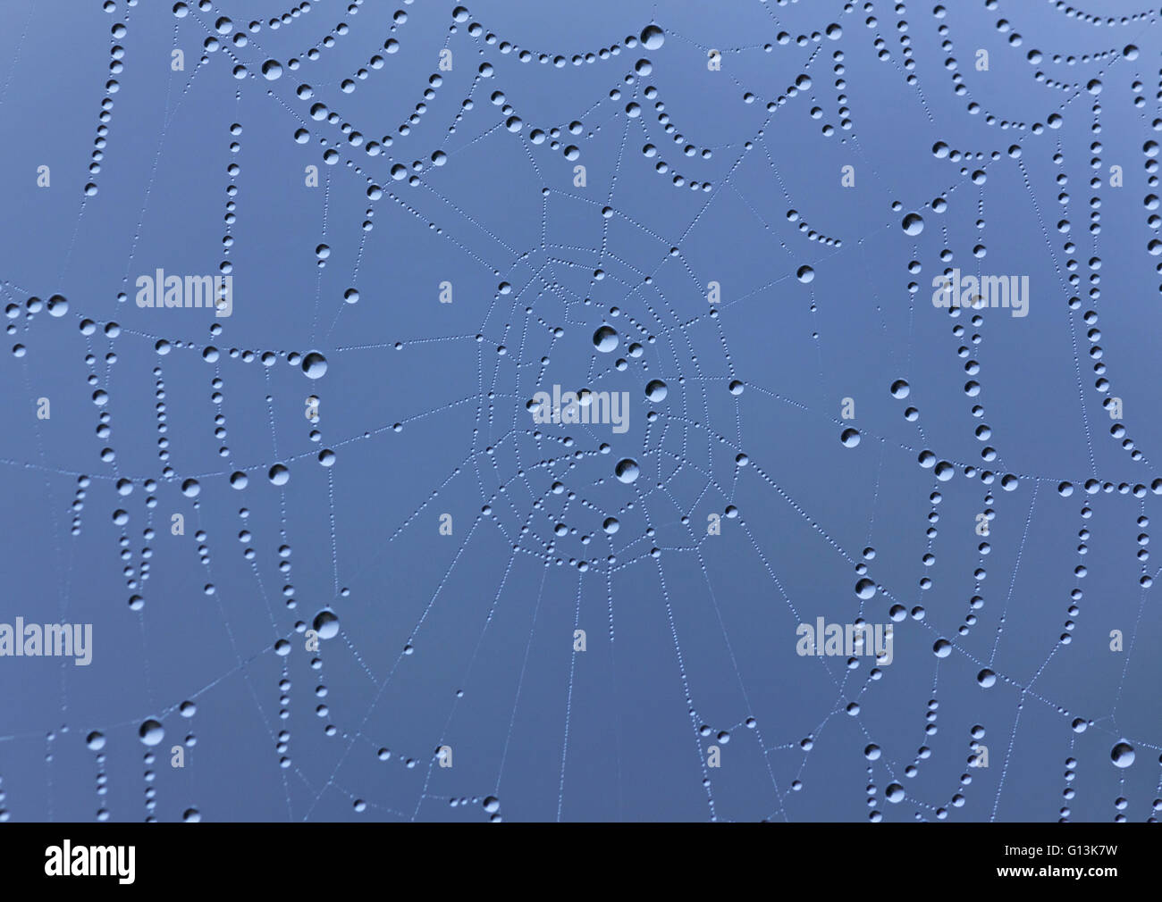 Nature water rain hi-res stock photography and images - Alamy