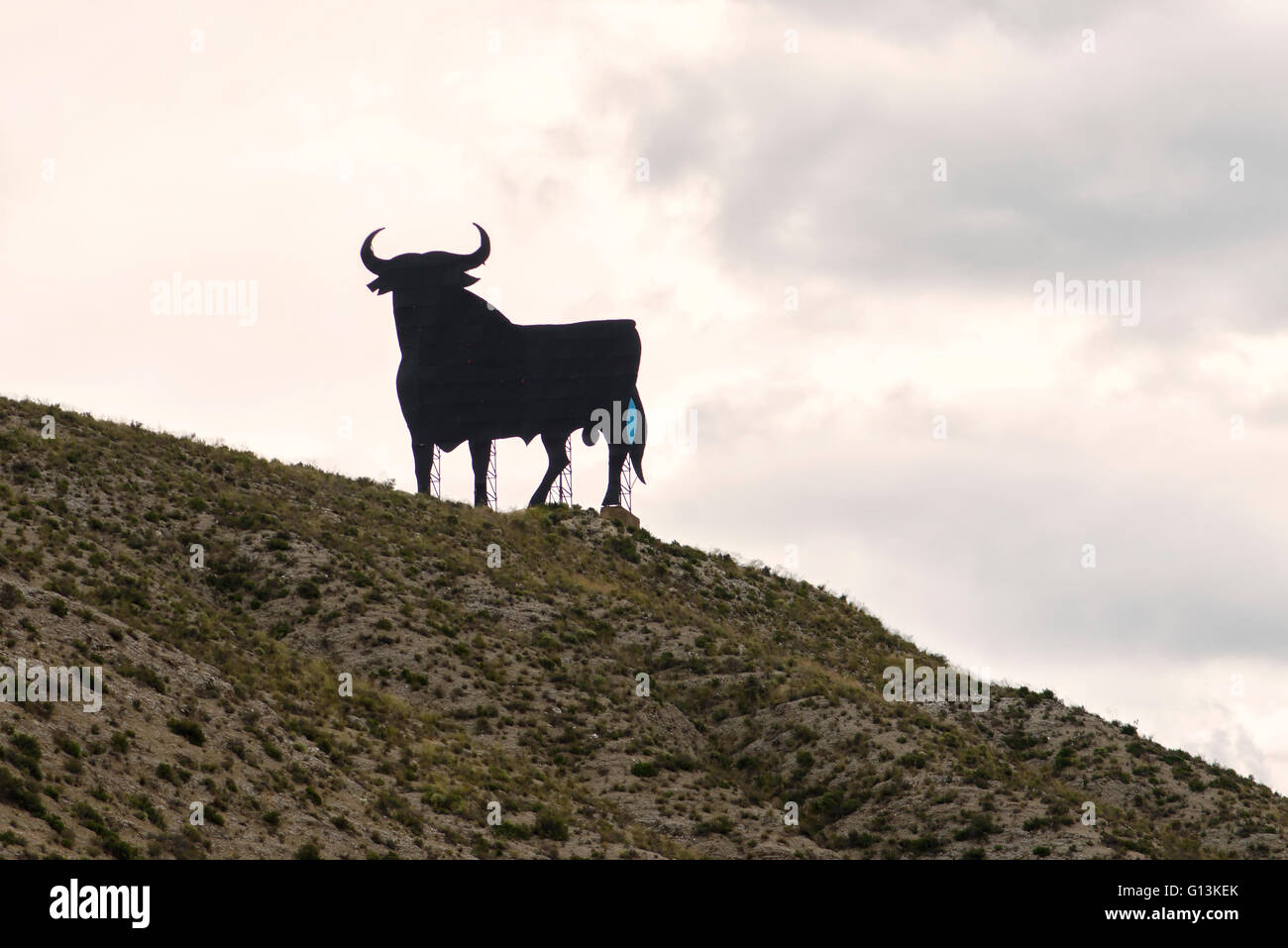 Osborne black bull sign hi-res stock photography and images - Alamy