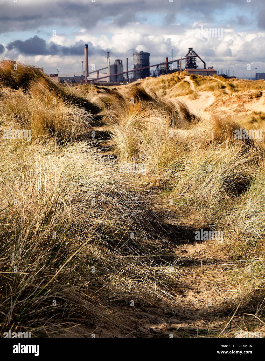 Pictures on the sand dunes and beach around Redcar Stock Photo - Alamy