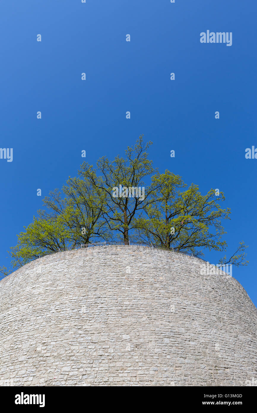 Top of sky tower hi-res stock photography and images - Alamy