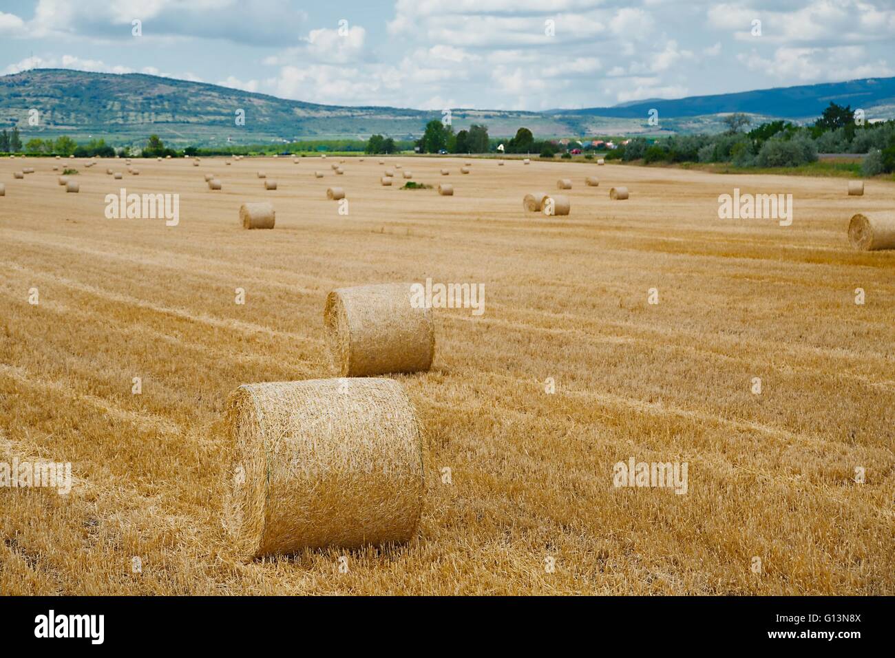 Agricultural field with bales Stock Photo - Alamy