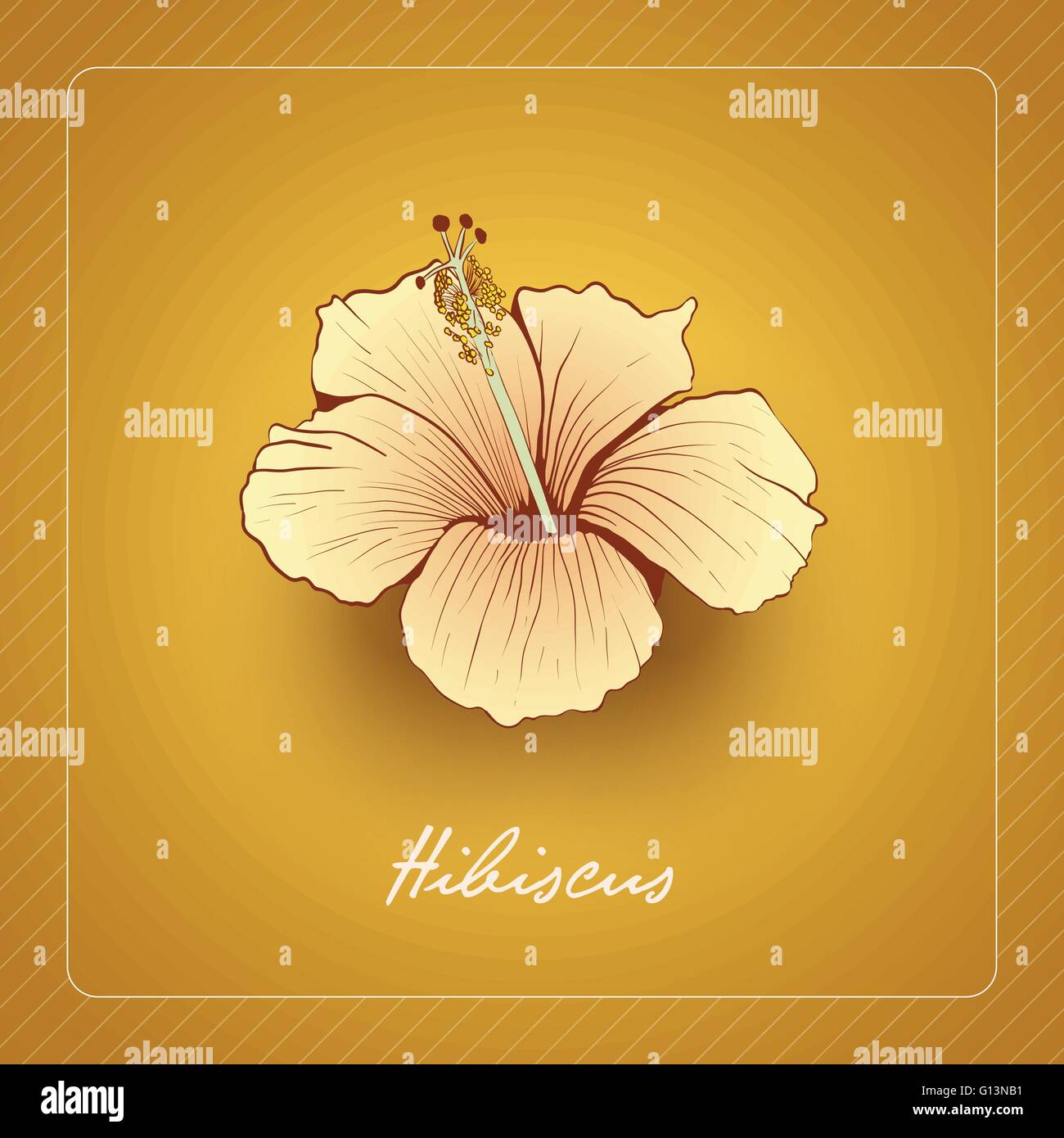 Hibiscus flower vector hi-res stock photography and images - Alamy