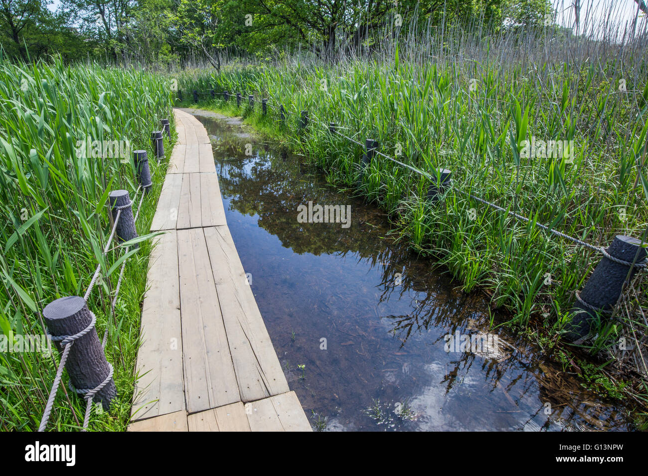 Tobu Treasure Garden in Tatebayashi is well known for one million ...