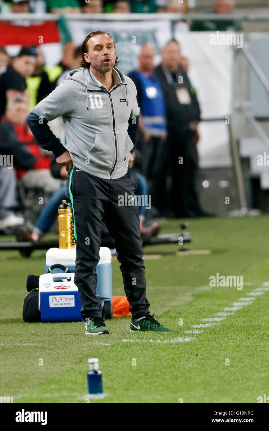 Professional Soccer Coaches
