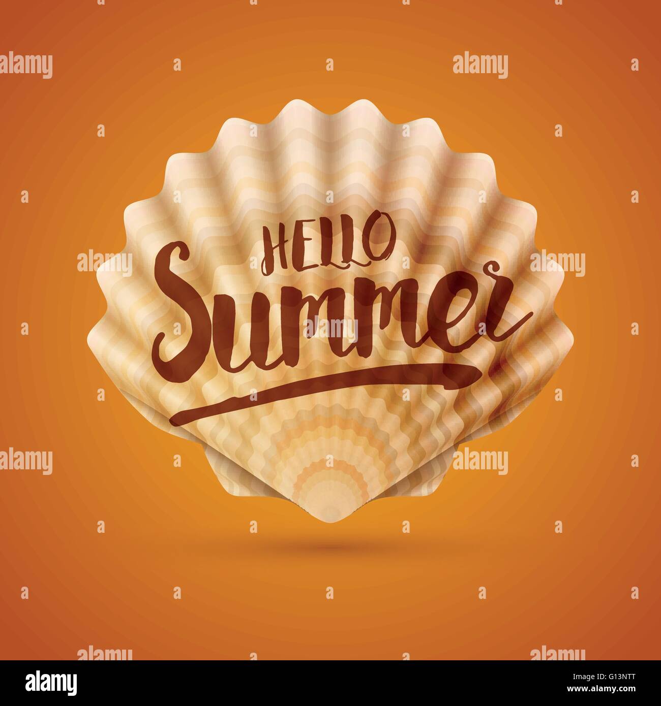 Hello Summer message on detailed vector illustration of sea shell Stock ...