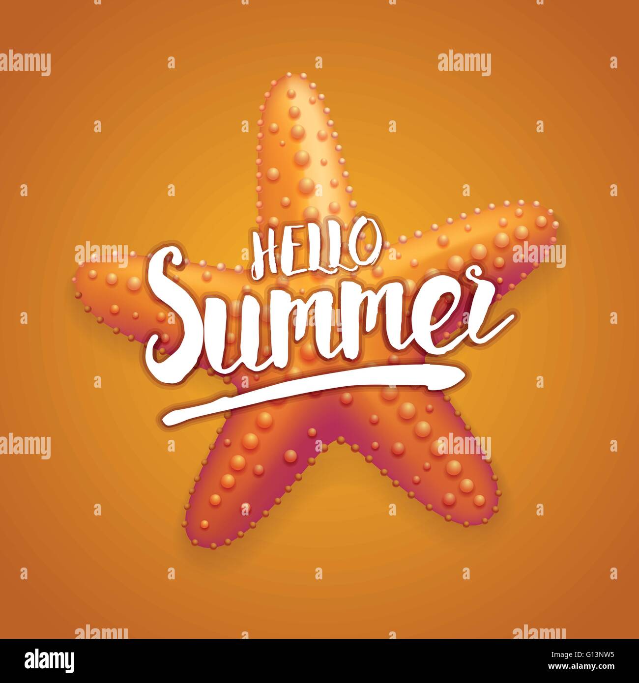 Hello Summer message on detailed vector illustration of starfish Stock ...