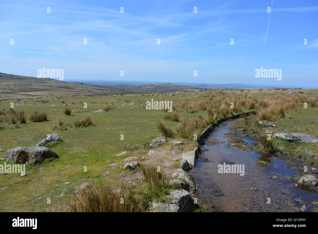 Blue leat hi-res stock photography and images - Alamy
