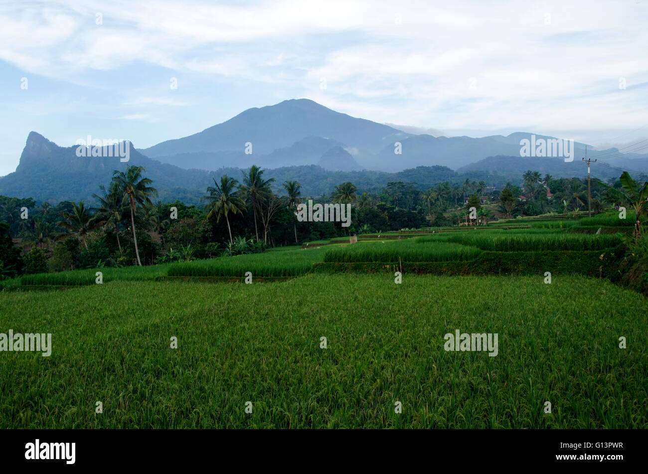 gunung bongkok, hill bongkok part of Mount Ceremai, located in Argapura ...