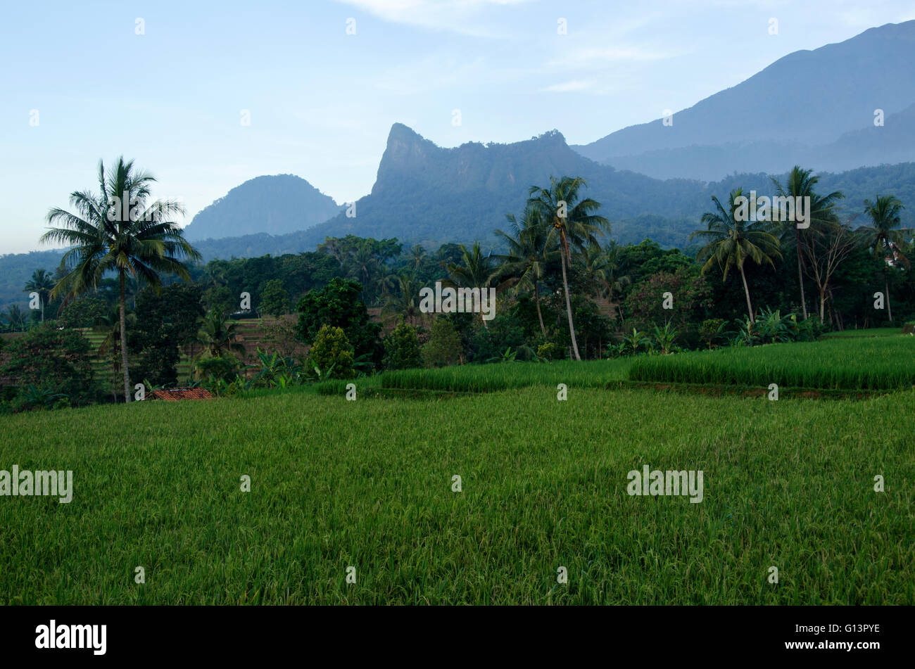 gunung bongkok, hill bongkok part of Mount Ceremai, located in Argapura ...