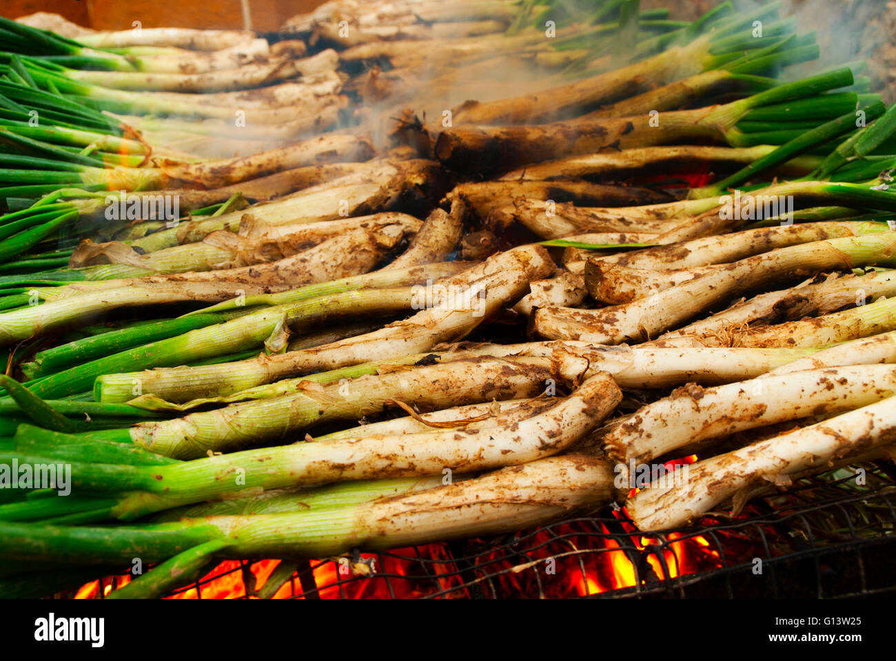 Calcot onion farming spain hi-res stock photography and images - Alamy