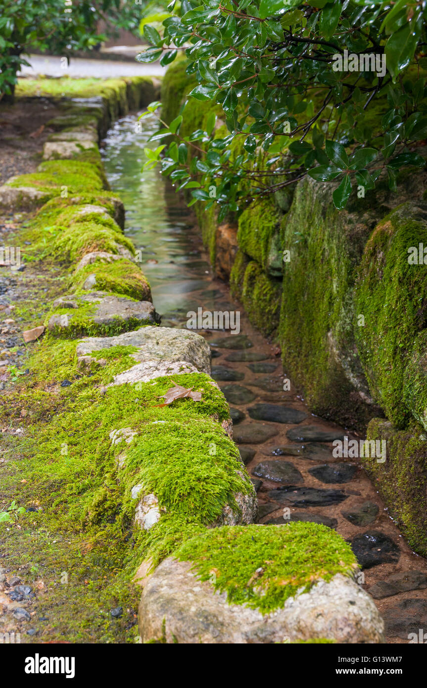 Traditional japanese garden mossy water channel Stock Photo - Alamy