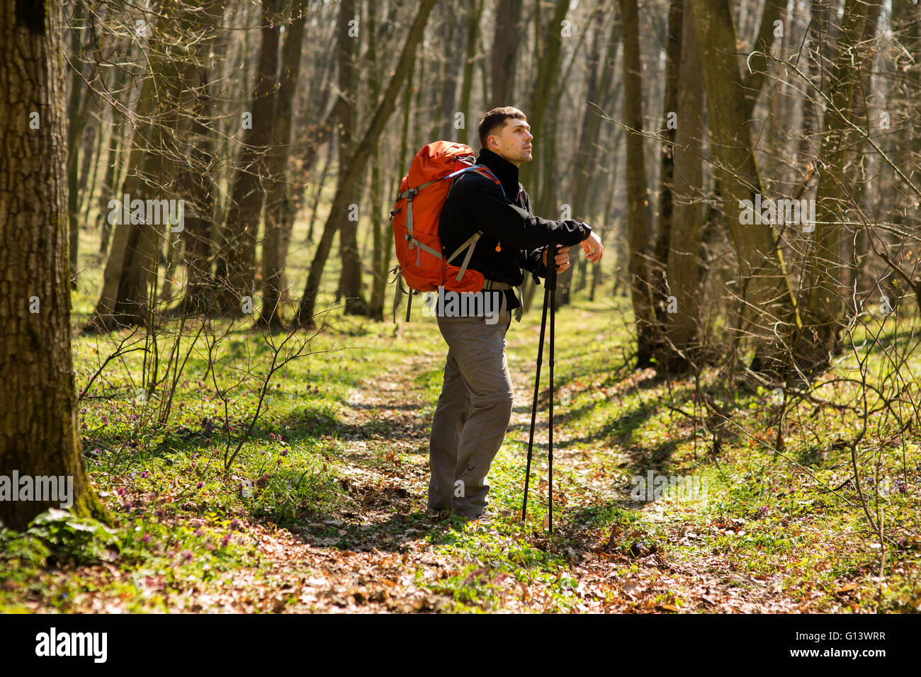 Man using hiking sticks poles outdoors in woods Stock Photo - Alamy