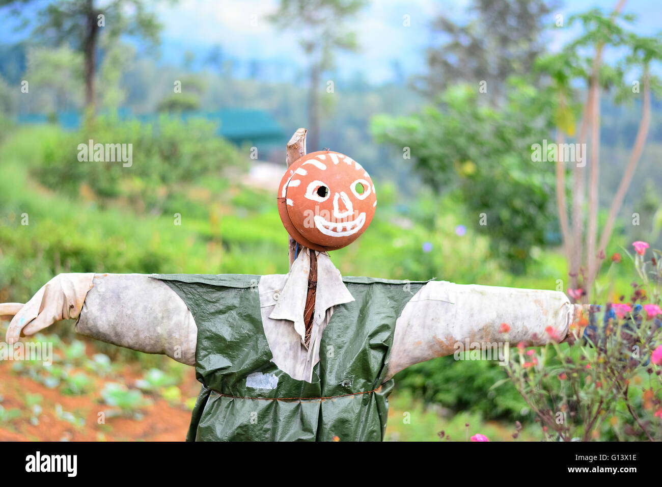 Scarecrow In A Vegetable Garden In Sri Lanka Stock Photo - Alamy