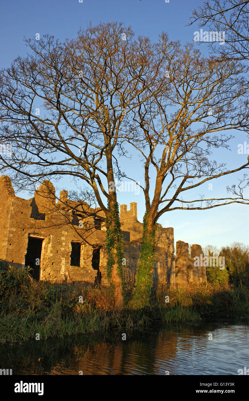 Neath abbey hi-res stock photography and images - Alamy