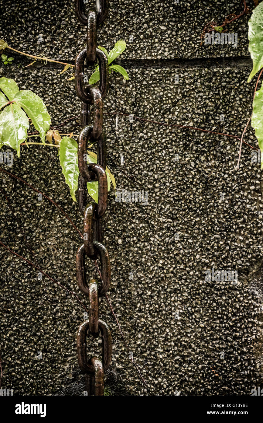 Chain hanging down wall next to leaves Stock Photo - Alamy