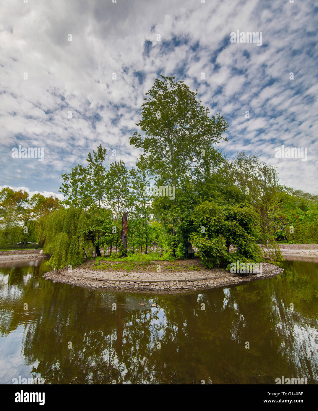 Little island on park lake and ducks swimming Stock Photo - Alamy
