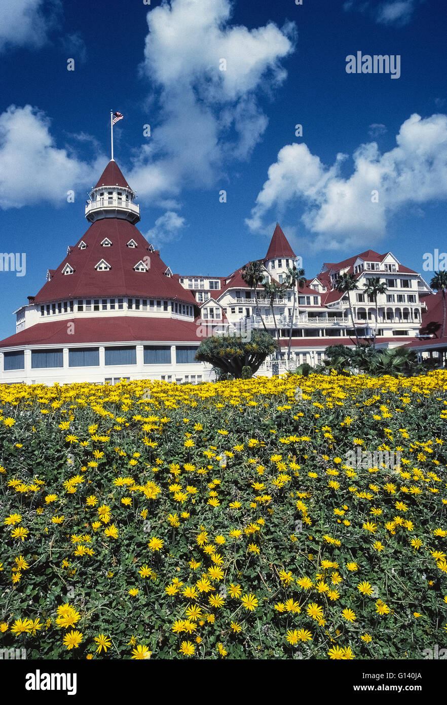 Hotel del Coronado has been a popular seaside resort since 1888 when it ...