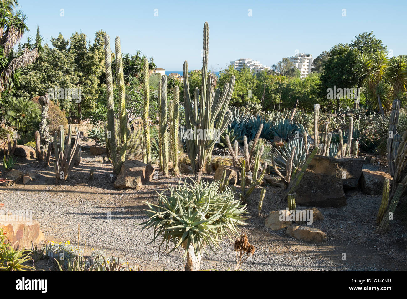 Parque de La Paloma. Benalmádena, Málaga, Spain Stock Photo - Alamy