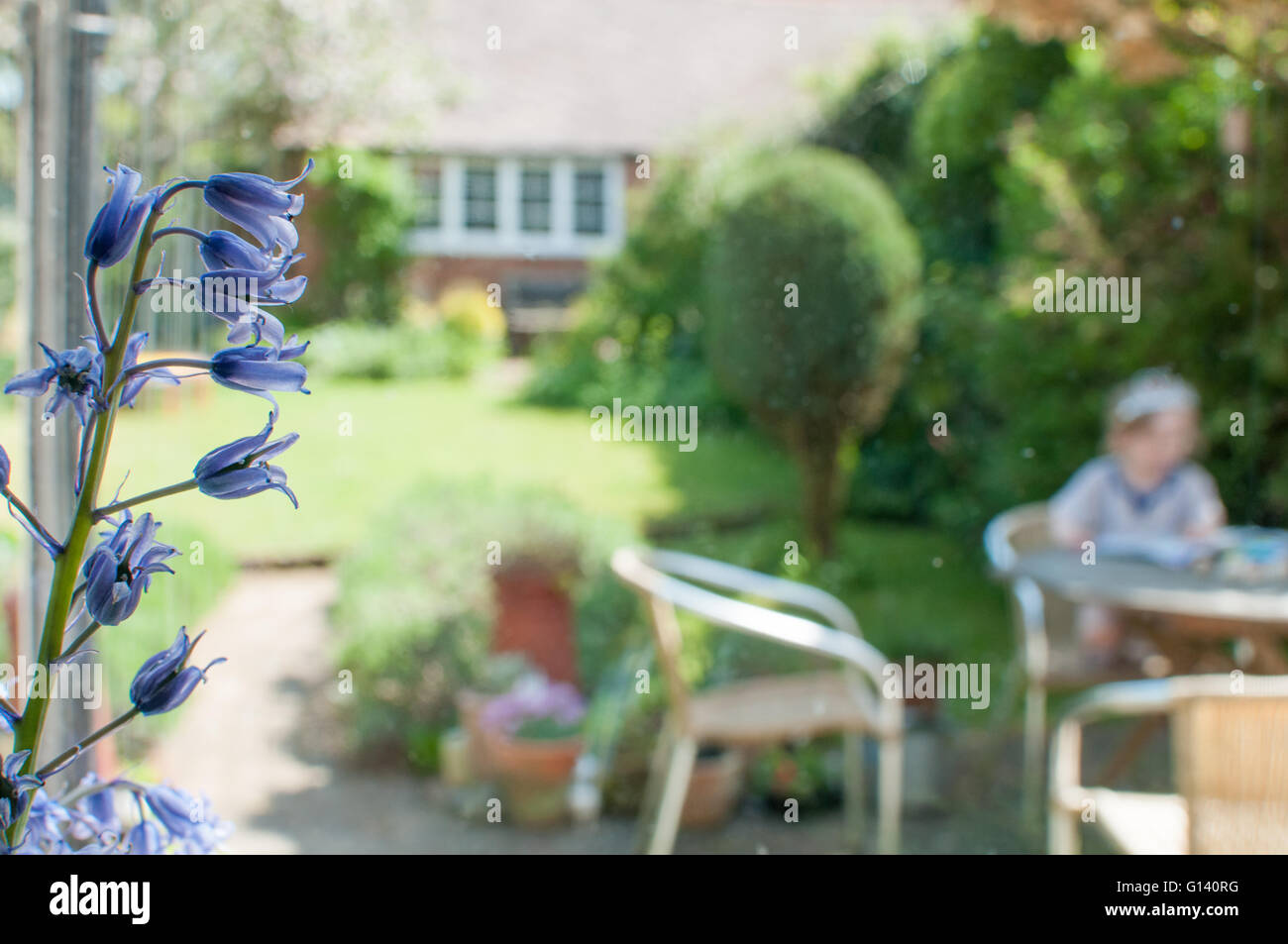 Garden scene viewed from inside a window on a summer day Stock Photo ...