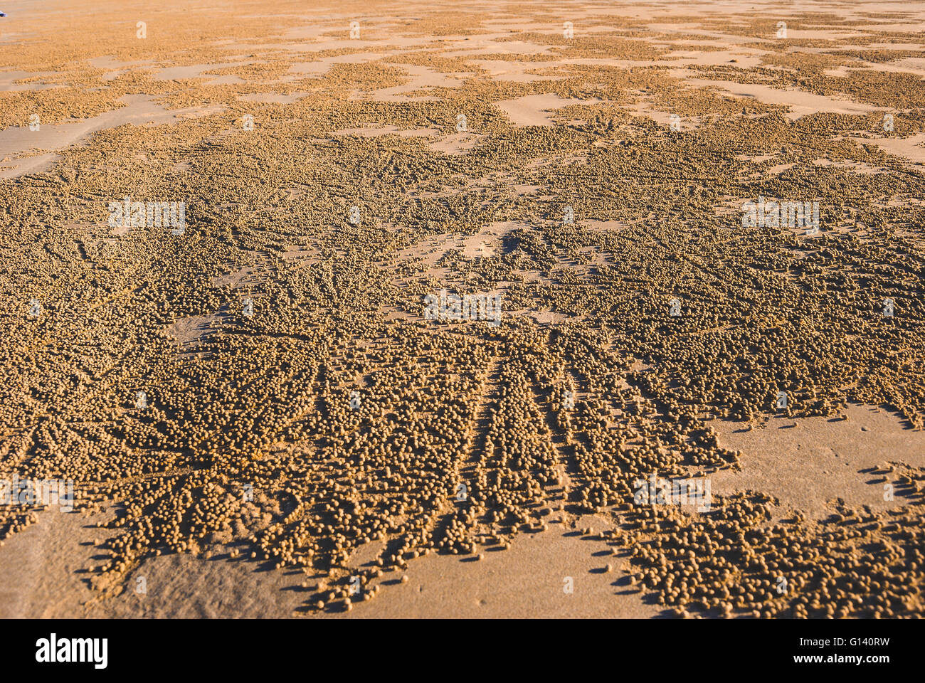 Cable beach australia hi-res stock photography and images - Alamy