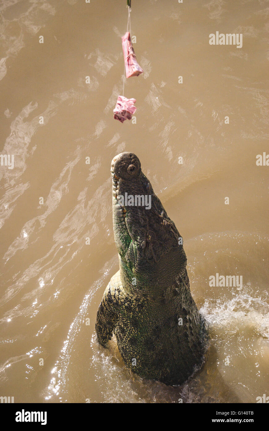 Adelaide river hi-res stock photography and images - Alamy