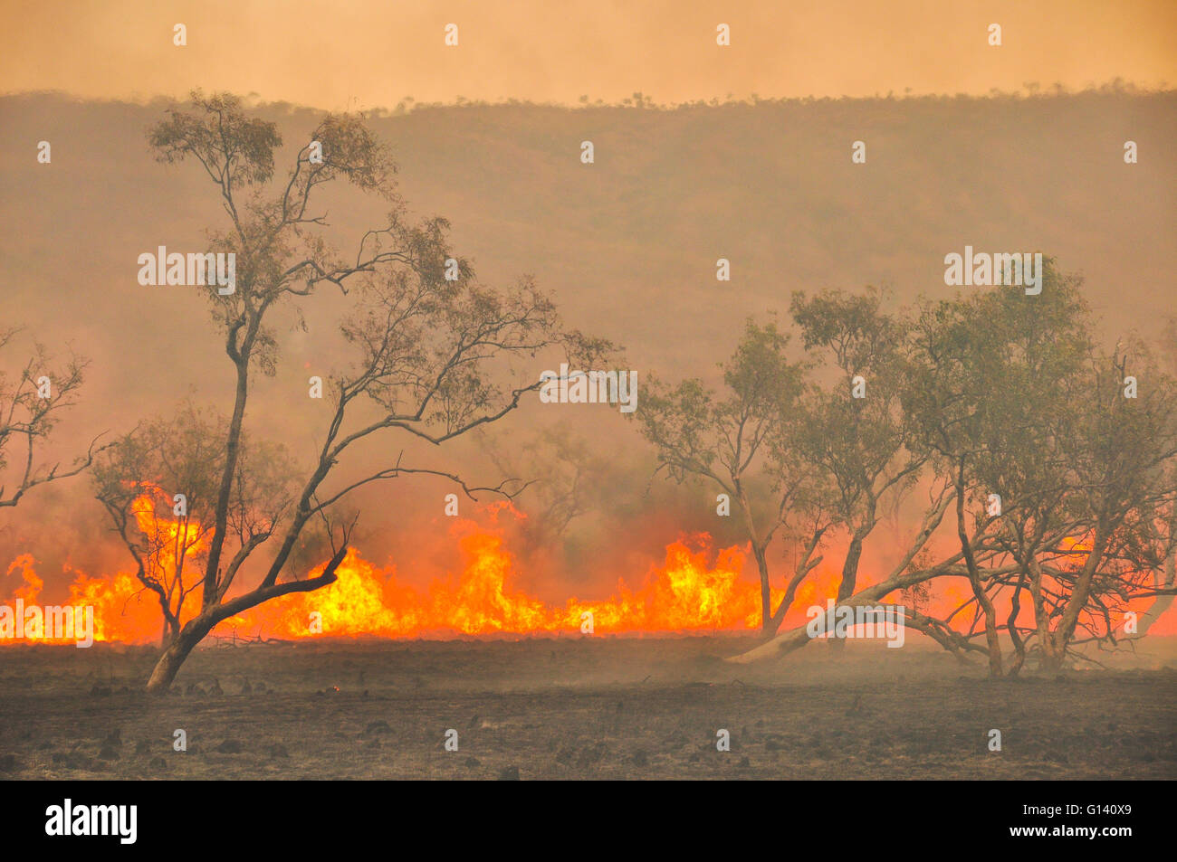 Western wild fires hi-res stock photography and images - Alamy