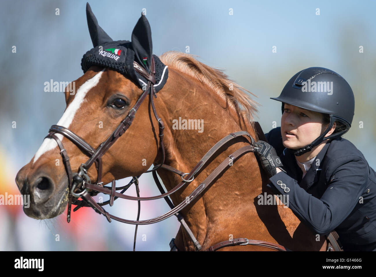 Lucy Davis Equestrian