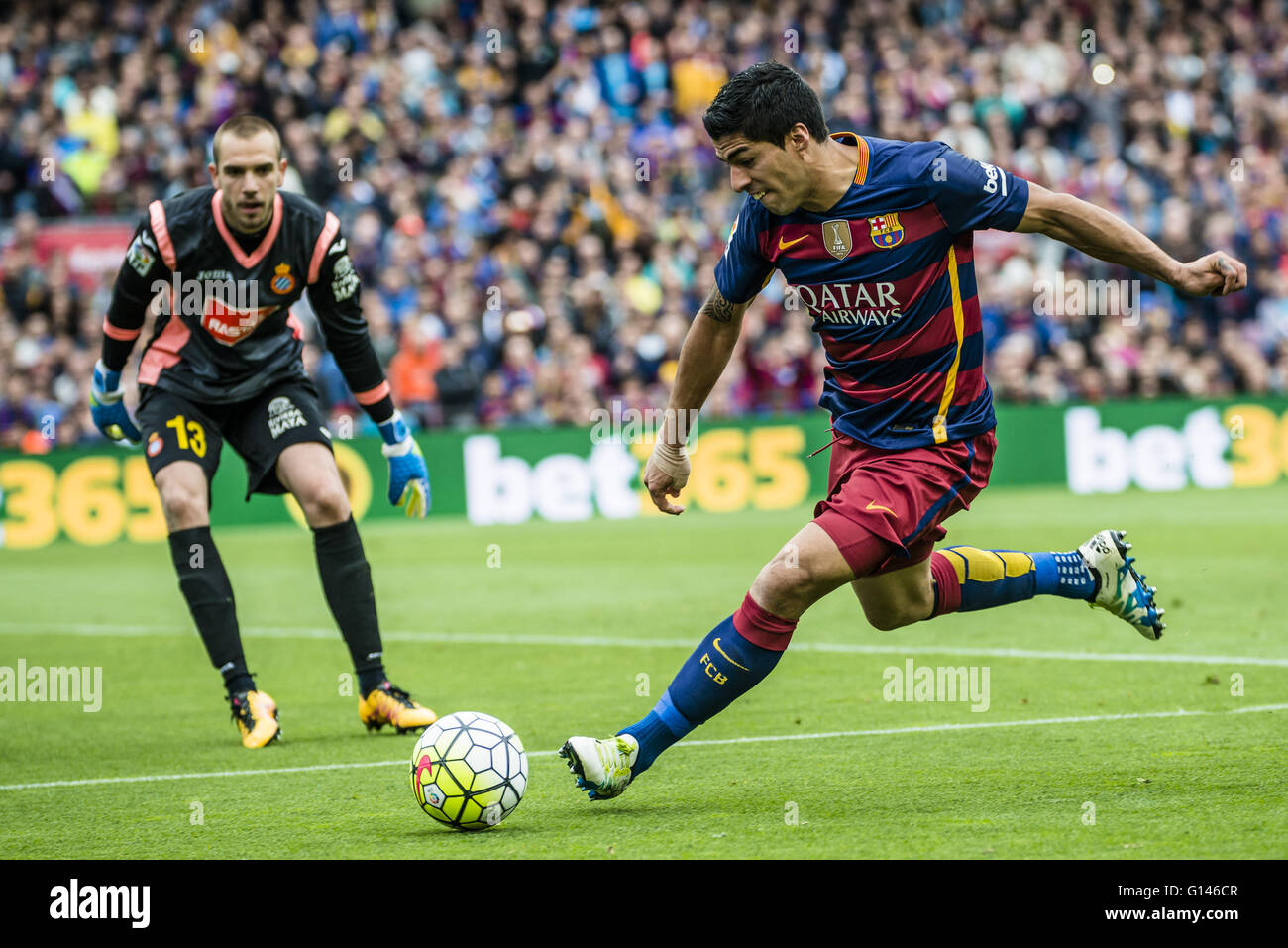 Barcelona, Catalonia, Spain. 8th May, 2016. FC Barcelona forward SUAREZ ...