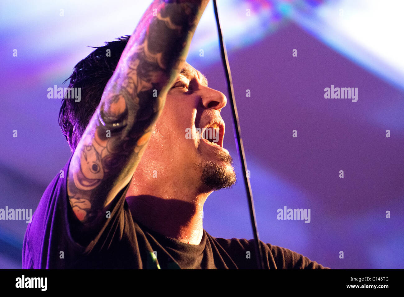 Lou koller hi-res stock photography and images - Alamy