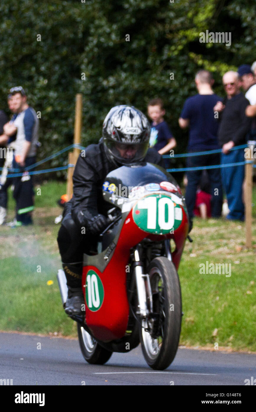 Dmw hornet hi-res stock photography and images - Alamy