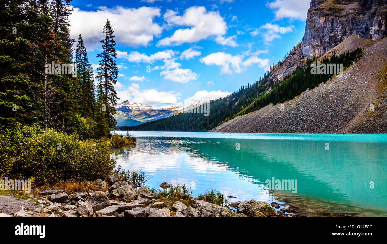 Turquoise water of Lake Louise in Banff National Park Stock Photo - Alamy