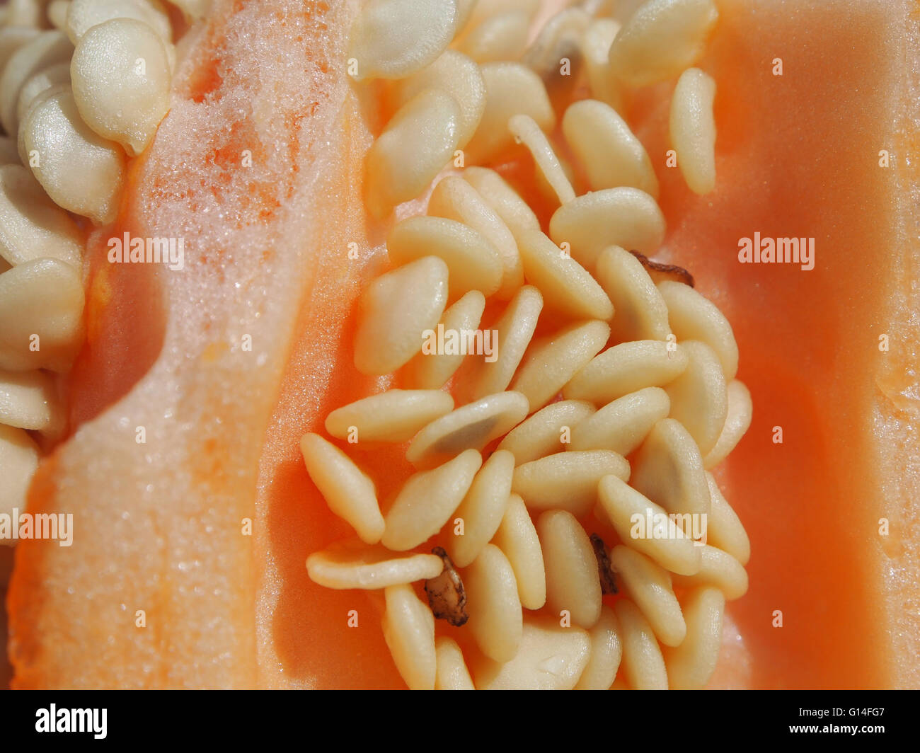 Seeds inside hi-res stock photography and images - Alamy